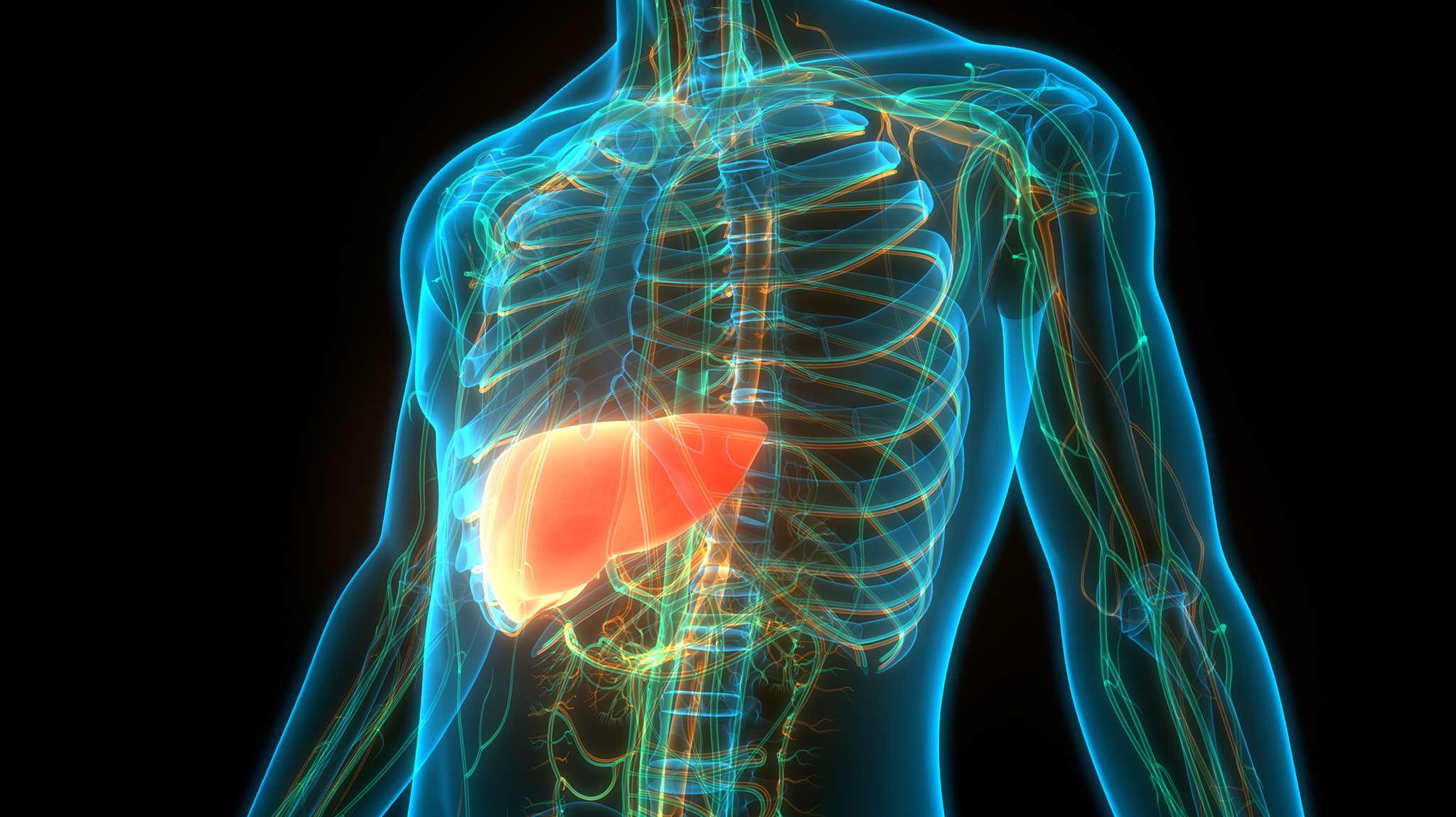 Gastroenterology And Hepatology Continuing Medical Education