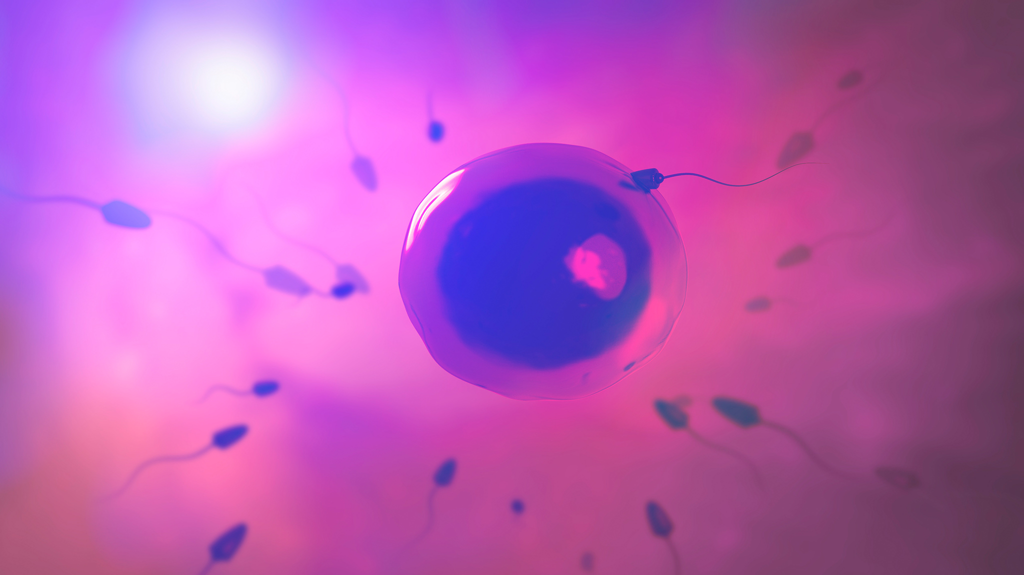 Reproductive Endocrinology & Infertility - Omnia Education