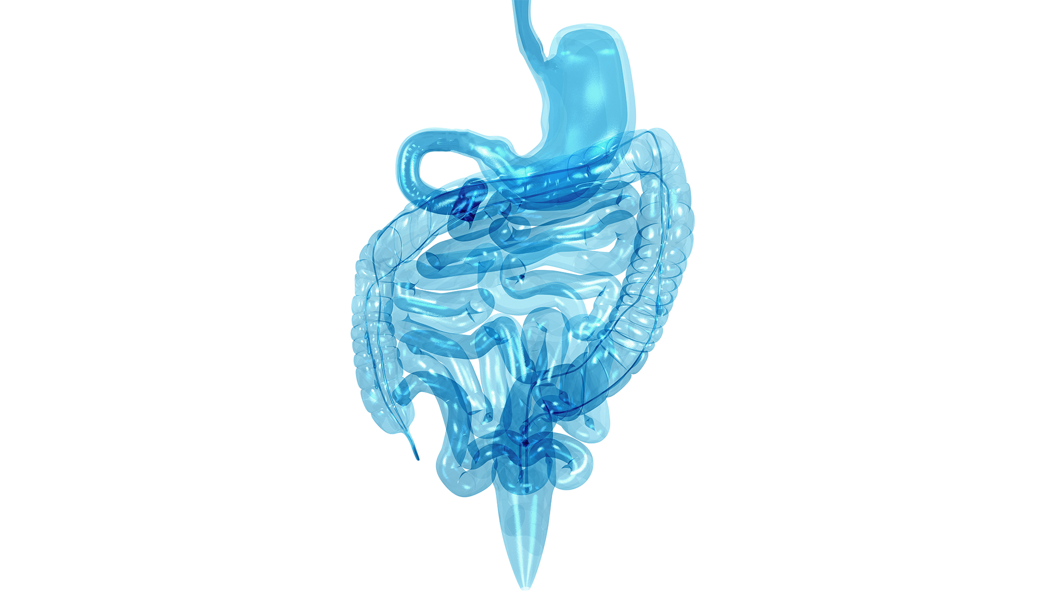 GI Insights - Omnia Education